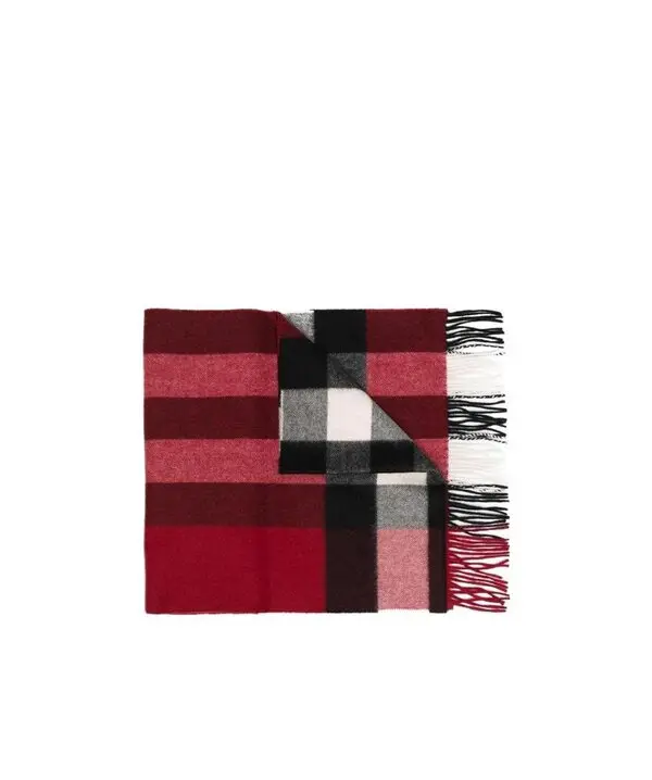 Burberry Check-pattern Fringed Scarf - Multicolor