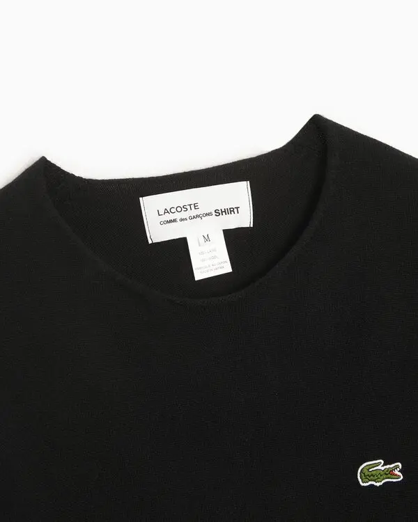 Comme Des Garçons X Lacoste Crewneck Jumper