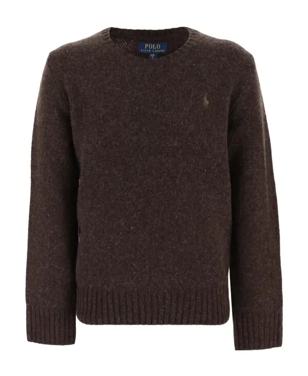 Polo Ralph Lauren Crew Neck Sweater With Embroidered Logo