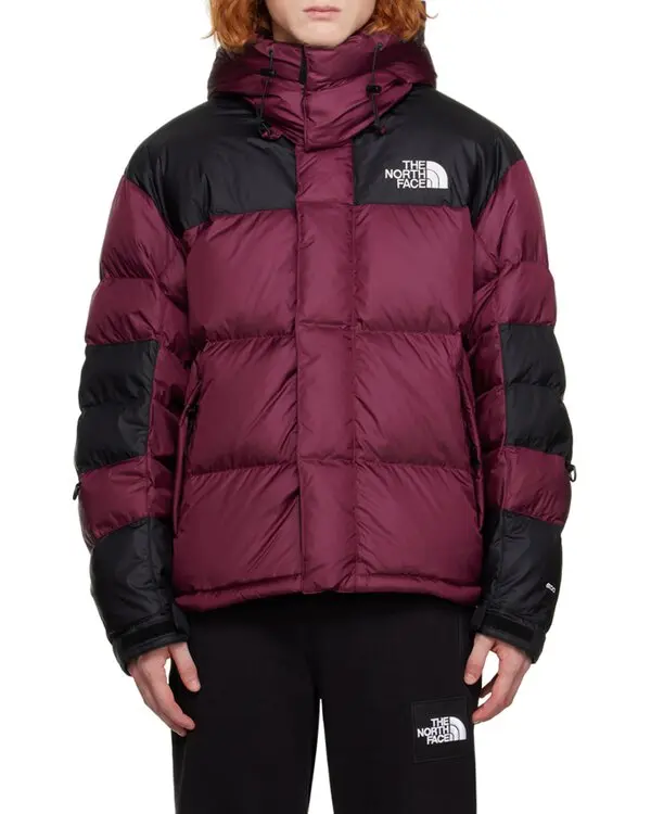 The North Face Down Hooded Jacket