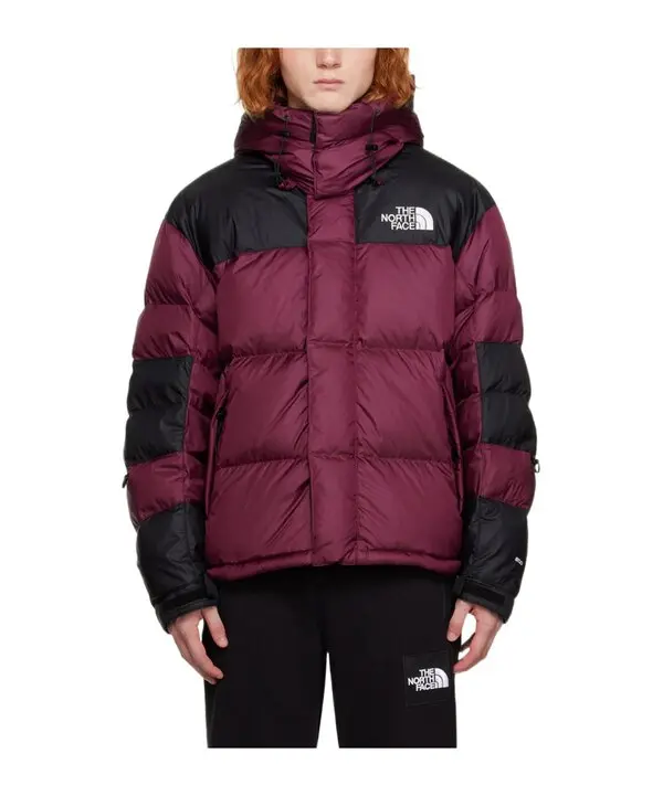 The North Face Down Hooded Jacket
