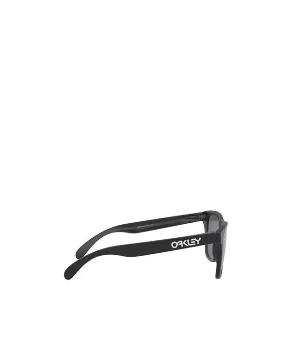 Oakley Frogskins Polarized Sunglasses - Gray