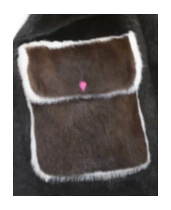 Simonette Ravizza Fur Handbag - Black