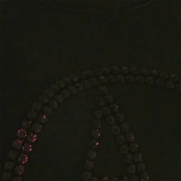 Emporio Armani Embellished Logo Long Sleeve T-shirt