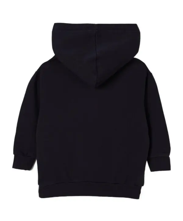 Etro Pegasus Print Hoodie