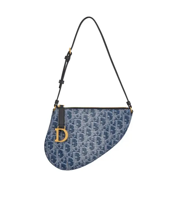 Dior Saddle Rodeo Pouch