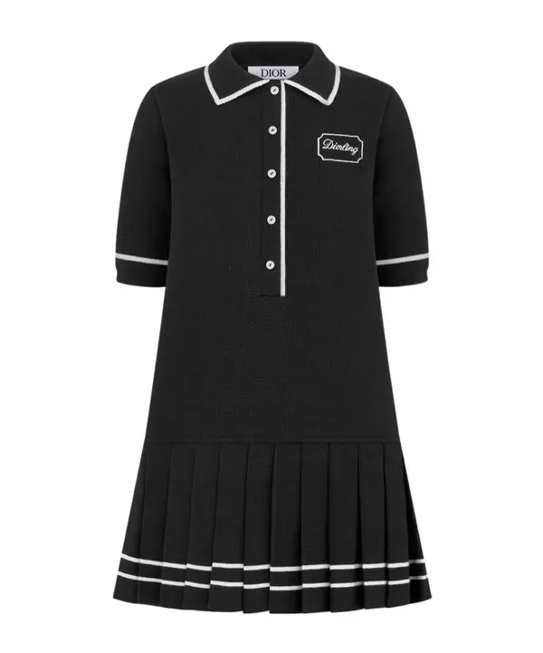 Dior Pleated Dress With Embroidery