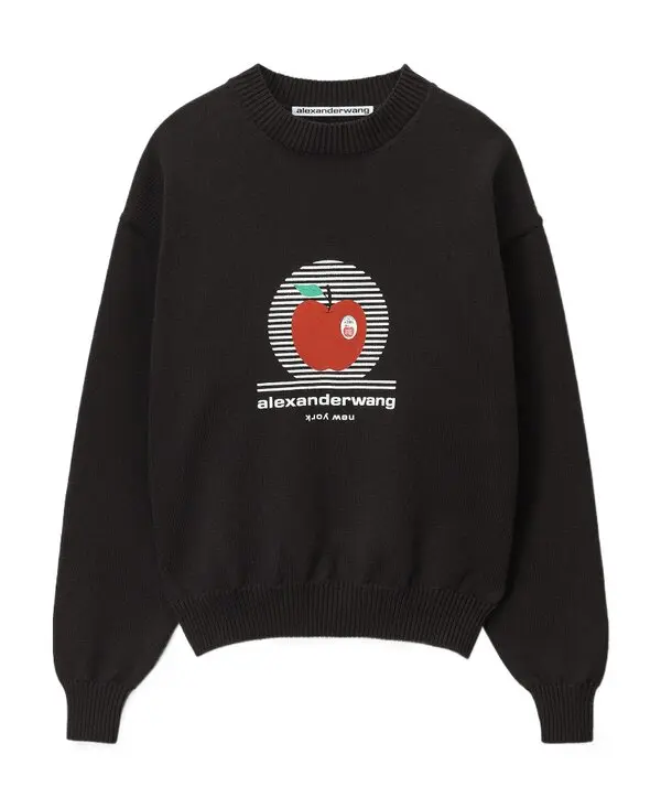Alexander Wang Logo Printed Crewneck Jumper