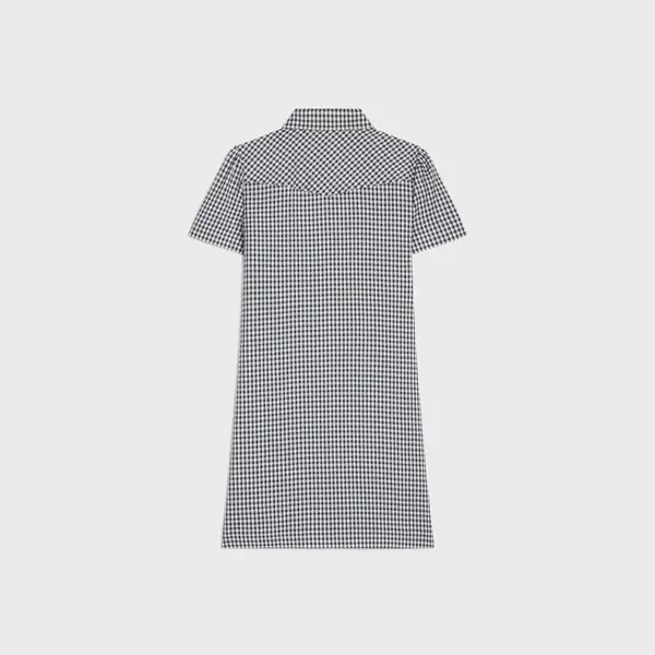 Celine Mini Shirt Dress In Vichy Silk