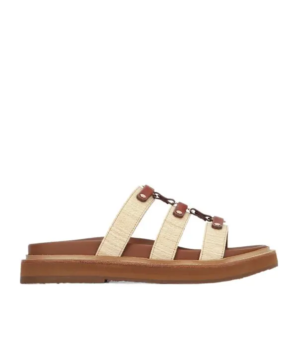 Celine Tippi Mules - Brown