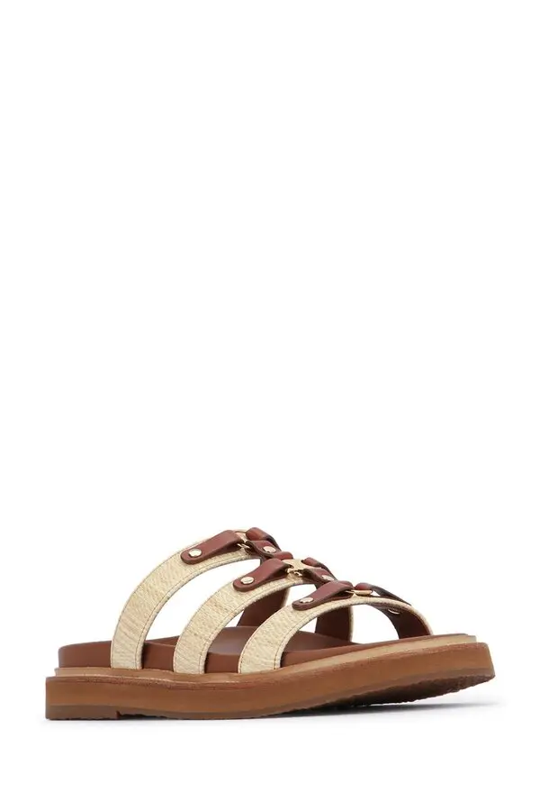 Celine Tippi Mules - Brown