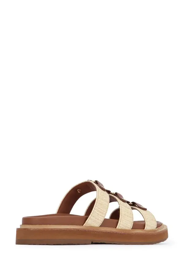 Celine Tippi Mules - Brown