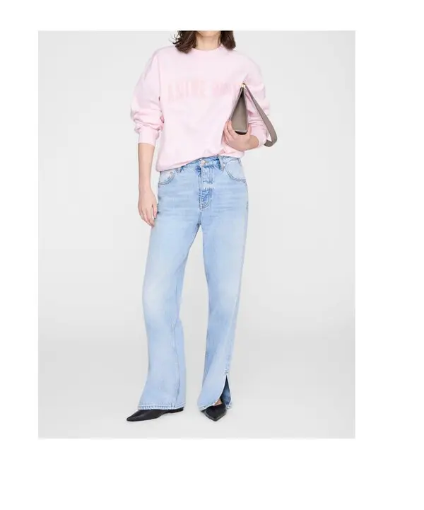 ANINE BING Spencer Logo Sweatshirt - Pink