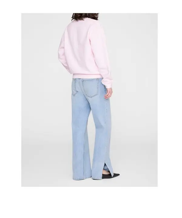 ANINE BING Spencer Logo Sweatshirt - Pink
