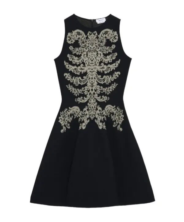 Alexander McQueen Lace Ribcage Jacquard Mini Dress