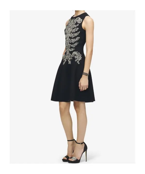 Alexander McQueen Lace Ribcage Jacquard Mini Dress