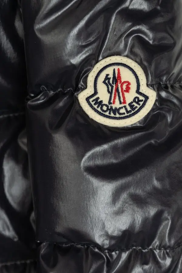 Moncler Glarenis Down Jacket