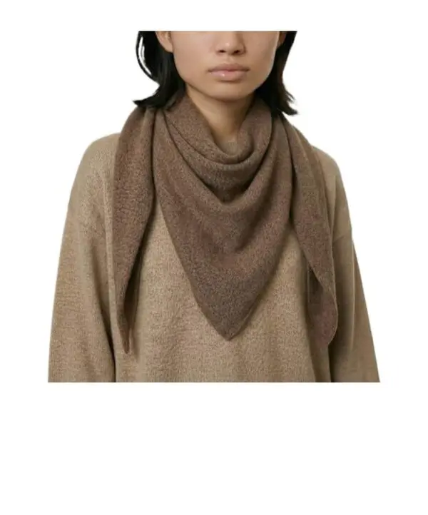 THE ROW Leomine Cashmere Scarf - Brown
