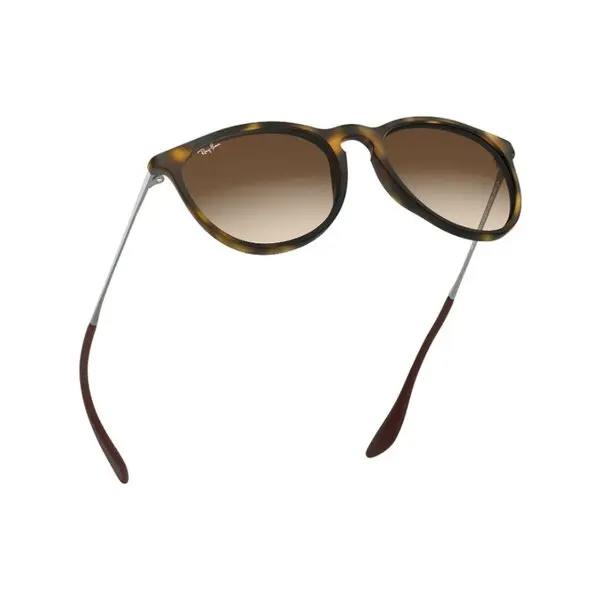 Ray-ban Erika Classic Oval Frame Sunglasses - Green