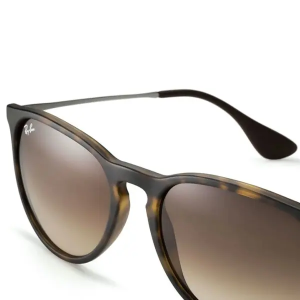 Ray-ban Erika Classic Oval Frame Sunglasses - Green