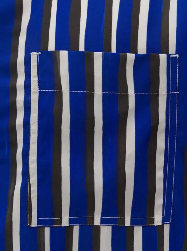 Bottega Veneta Stripe Printed Shirt