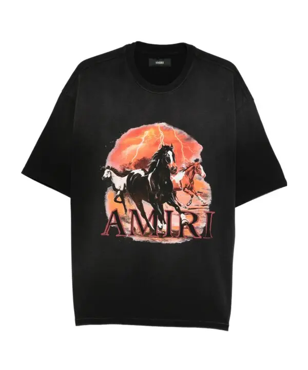 Amiri Plains Graphic Crewneck T-shirt