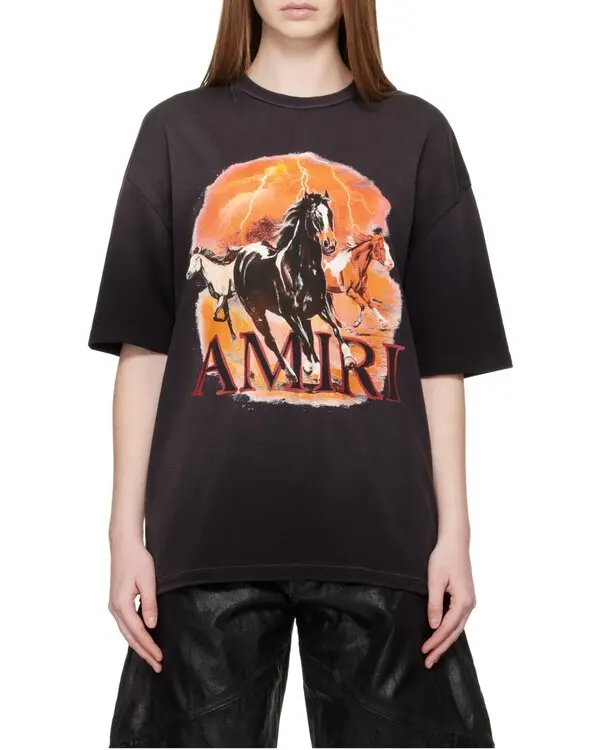 Amiri Plains Graphic Crewneck T-shirt