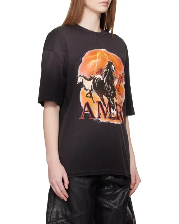 Amiri Plains Graphic Crewneck T-shirt