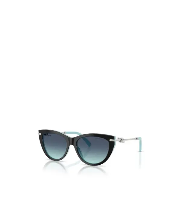 TIFFANY  CO. Tiffany & Co. Cat Eye Full Frame Sunglasses