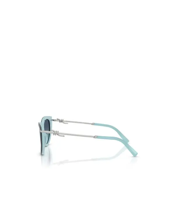 TIFFANY  CO. Tiffany & Co. Cat Eye Full Frame Sunglasses
