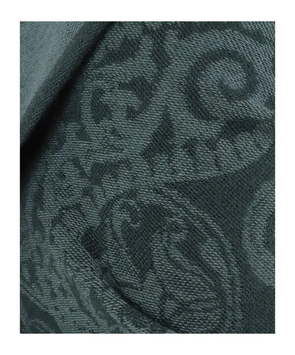 Etro Hooded Fringed Scarf - Green