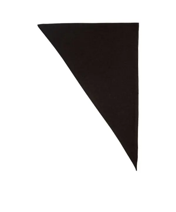 THE ROW Leomine Cashmere Scarf - Black