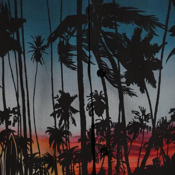 Celine Hawaiian Shirt In Printed Viscose