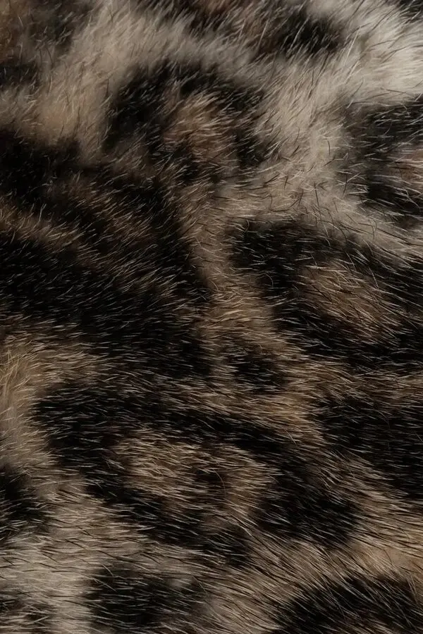 Dior Patterned Scarf