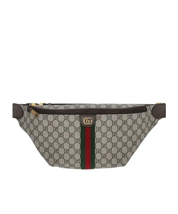 Gucci Ophidia Large Belt Bag - Beige And Dark Brown