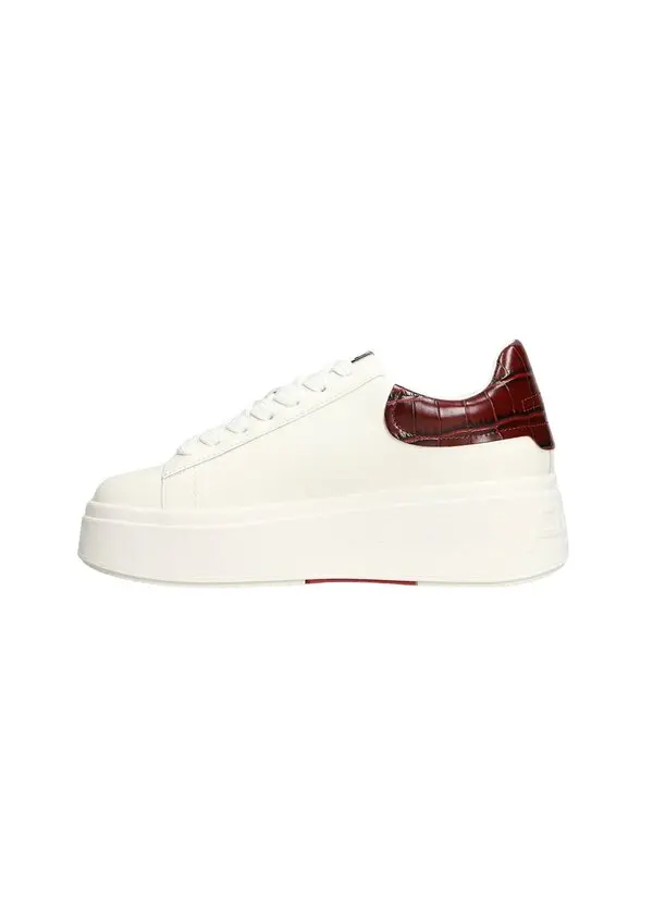 Ash Lace-up Sneakers With Thick Sole