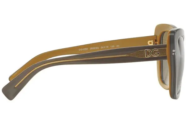 Dolce & Gabbana Dg Logo Cat Eye Sunglasses