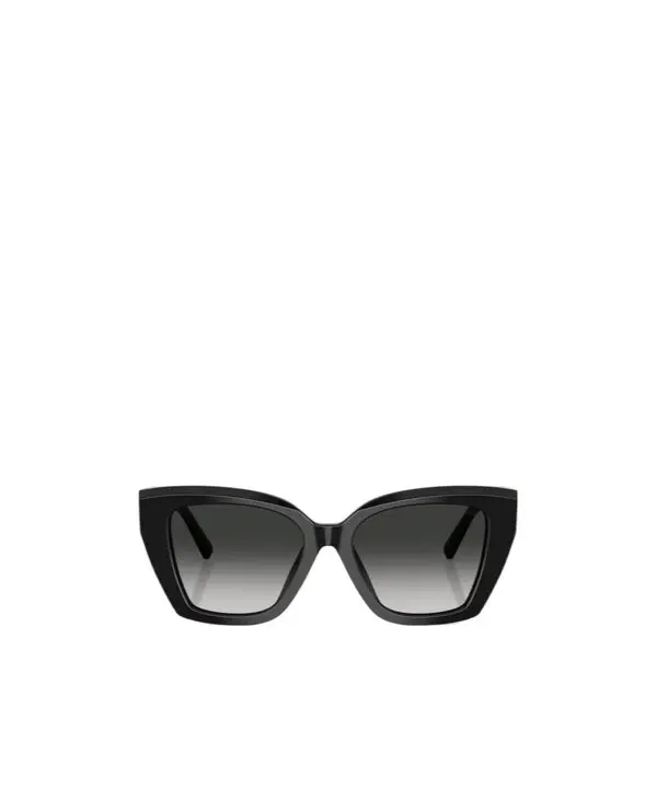TIFFANY  CO. Tiffany & Co. Full Frame Sunglasses - Black