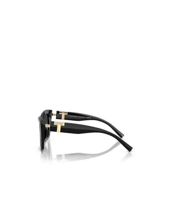 TIFFANY  CO. Tiffany & Co. Full Frame Sunglasses