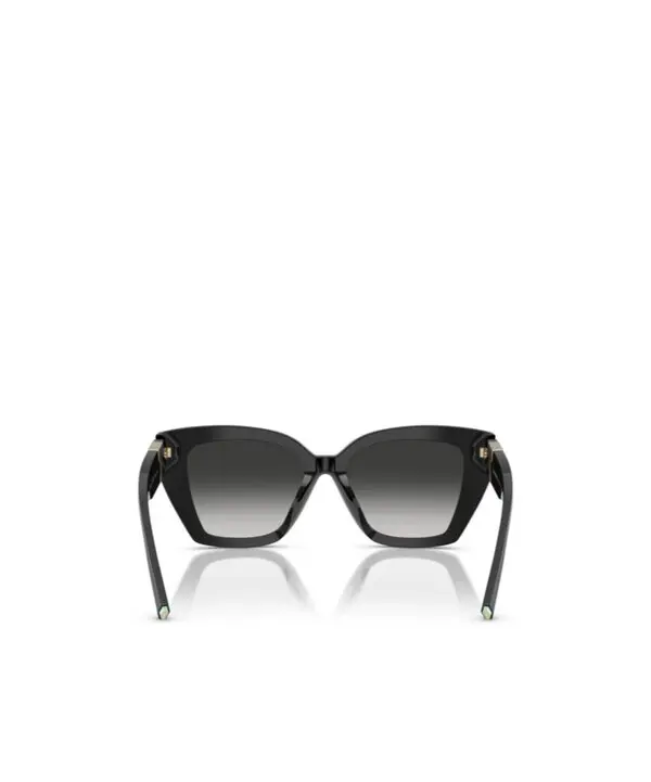 TIFFANY  CO. Tiffany & Co. Full Frame Sunglasses