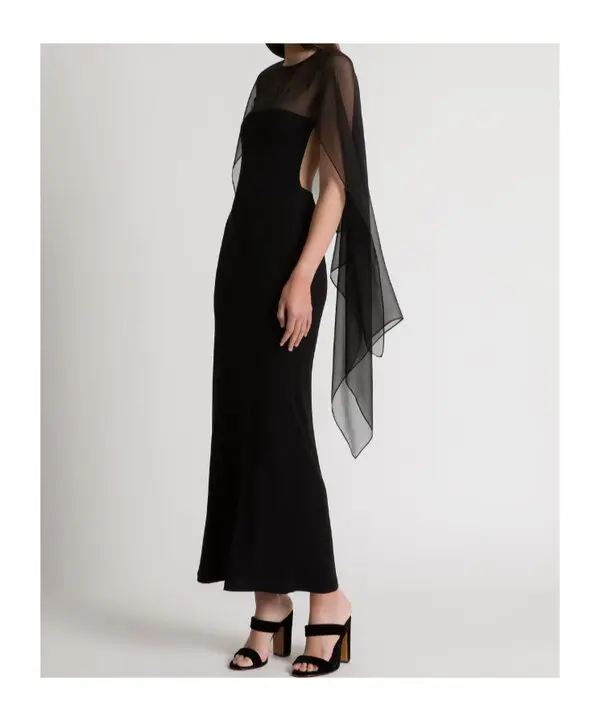 Alberta Ferretti Long Dress With Sheer Chiffon Sleeves