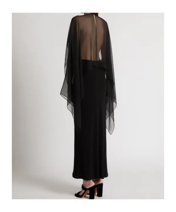 Alberta Ferretti Long Dress With Sheer Chiffon Sleeves