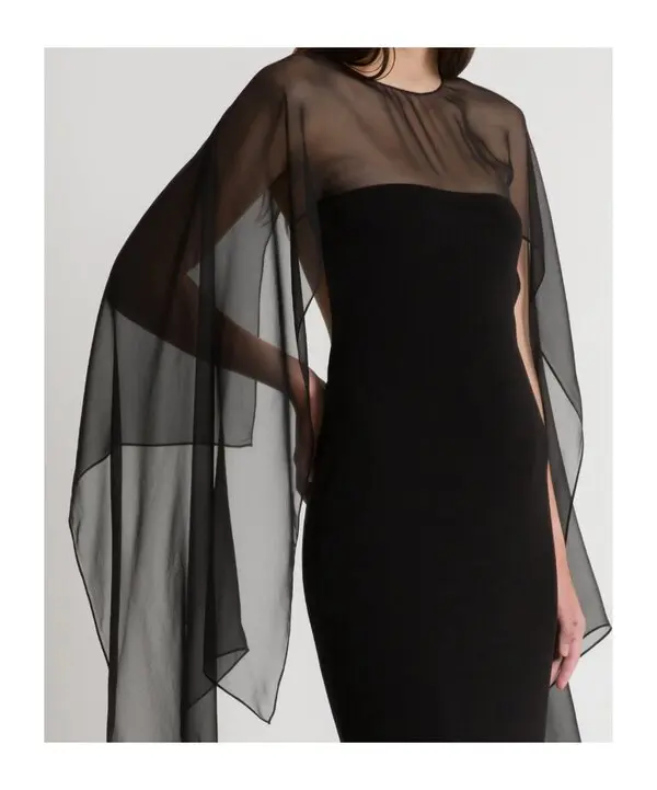 Alberta Ferretti Long Dress With Sheer Chiffon Sleeves