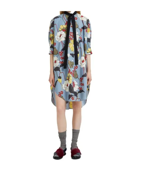Marni Melodia Print Oversized Poplin Shirt Dress