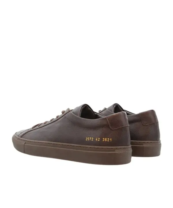 COMMON PROJECTS Achilles Premium Leather Sneakers - Brown