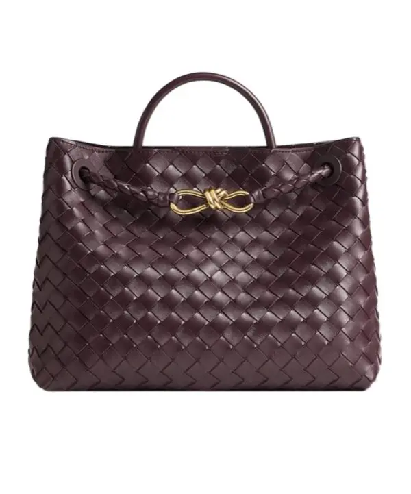 Bottega Veneta Andiamo Medium Shoulder Bag - Dark Barolo