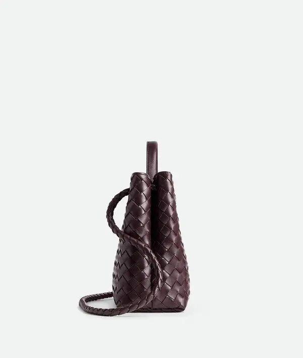 Bottega Veneta Andiamo Medium Shoulder Bag - Dark Barolo