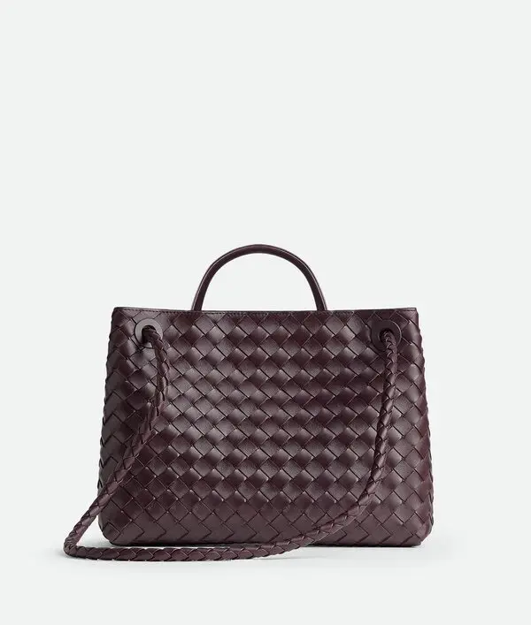Bottega Veneta Andiamo Medium Shoulder Bag - Dark Barolo