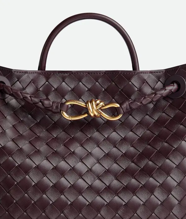 Bottega Veneta Andiamo Medium Shoulder Bag - Dark Barolo