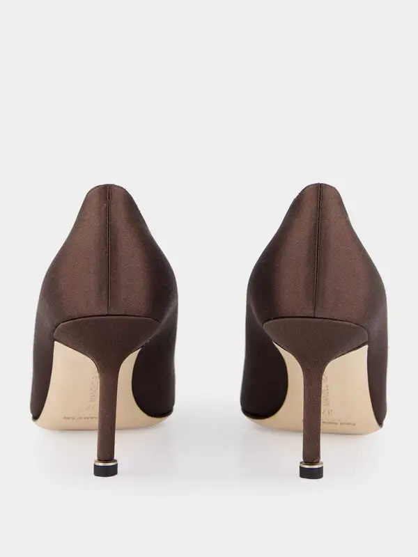 Manolo Blahnik Hangisi Embellished Pumps - Brown